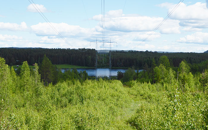 Aurora Line | Svenska kraftnät